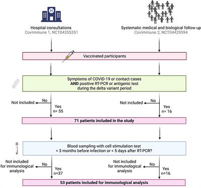 Frontiers | Breakthrough infections due to SARS-CoV-2 Delta variant: relation to humoral and ...
